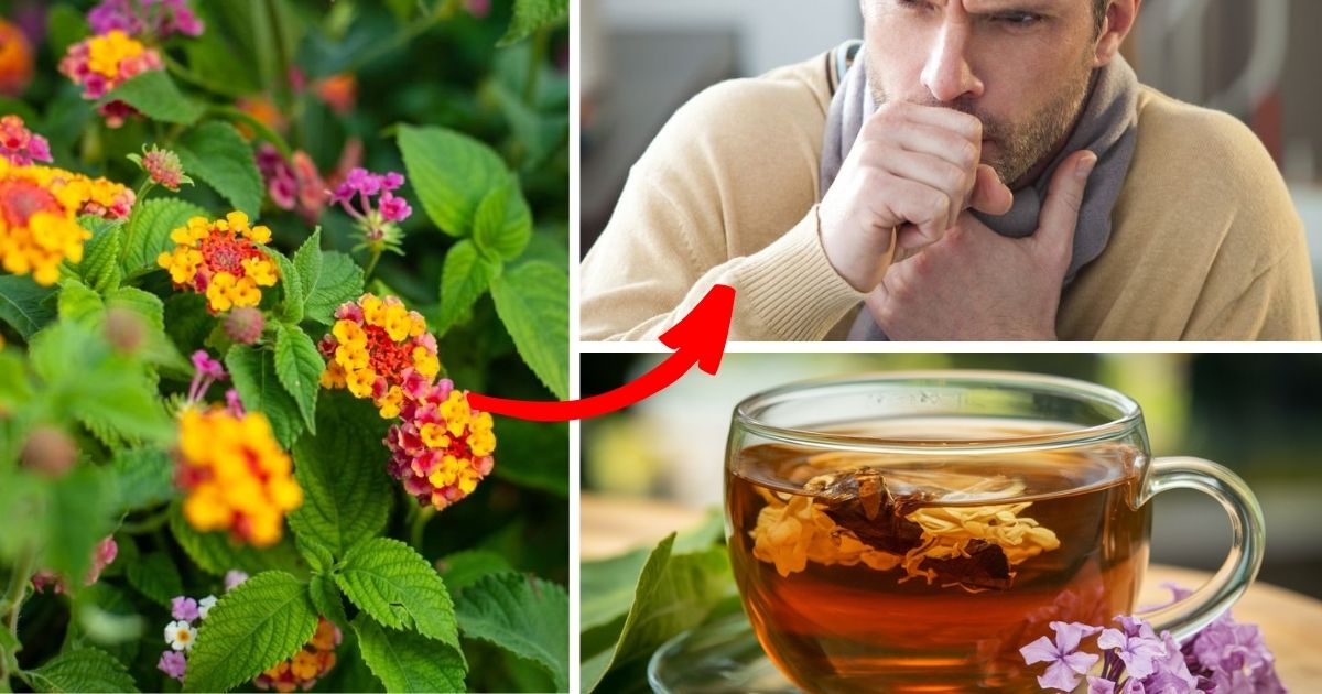6 Powerful Homemade Bug Sprays That Actually Work And Smell Better Than ...