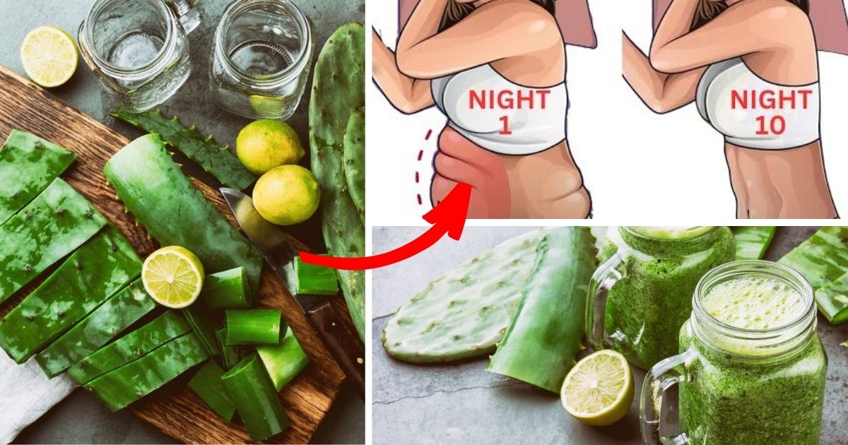 36 Innovative Greenhouse Design Ideas to Inspire Your Outdoor Space