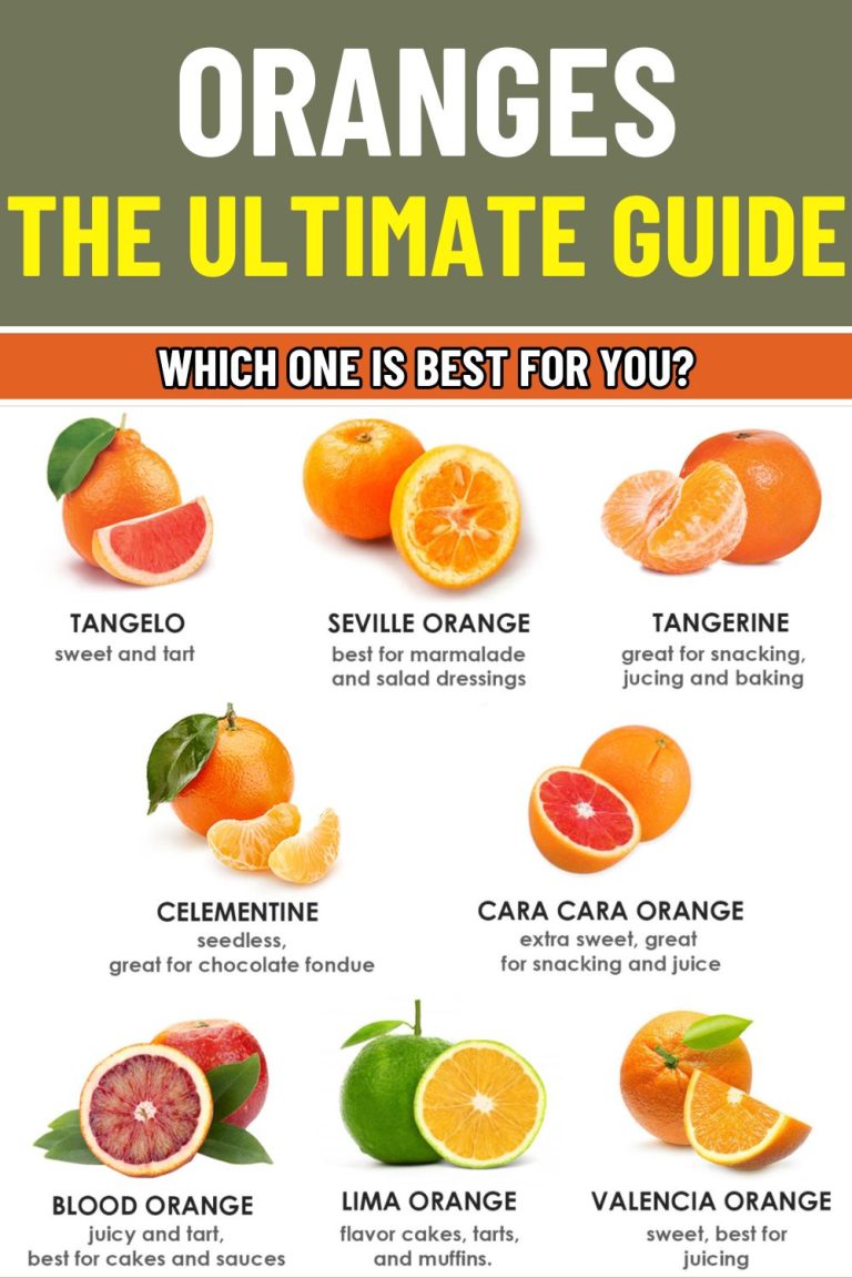 Oranges 101: Types, Health Benefits, and How to Use Them Like a Pro