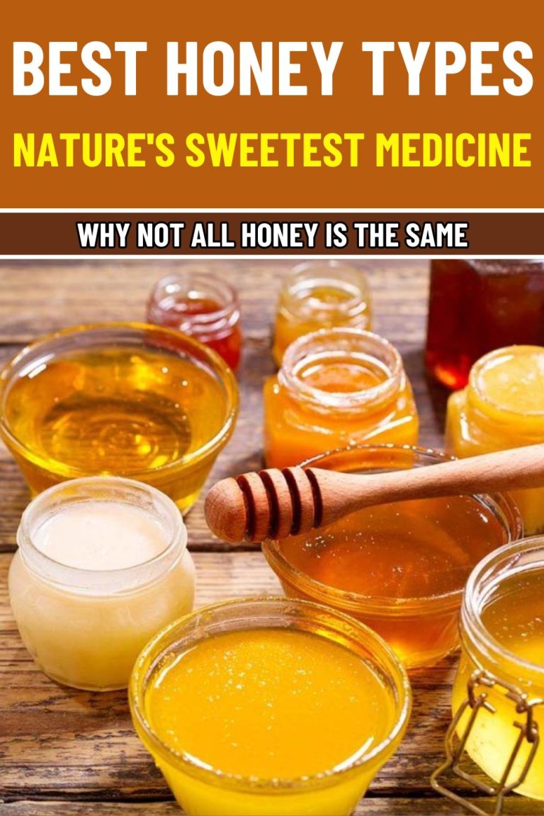 Why Not All Honey is the Same: The Ultimate Breakdown of Honey Varieties