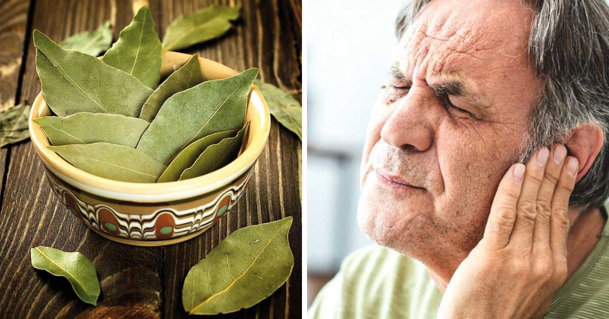 Bay Leaves for Labyrinthitis and Tinnitus: Can This Ancient Remedy ...