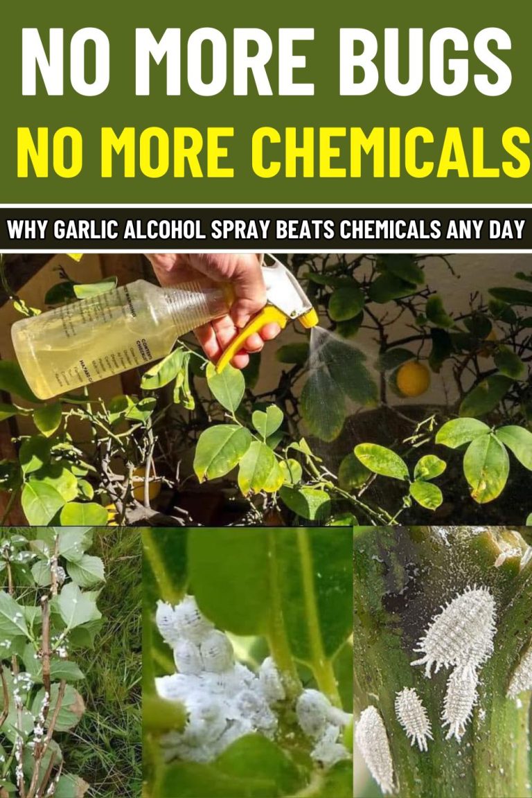 The Ultimate DIY Garlic Alcohol Spray for Garden Pests