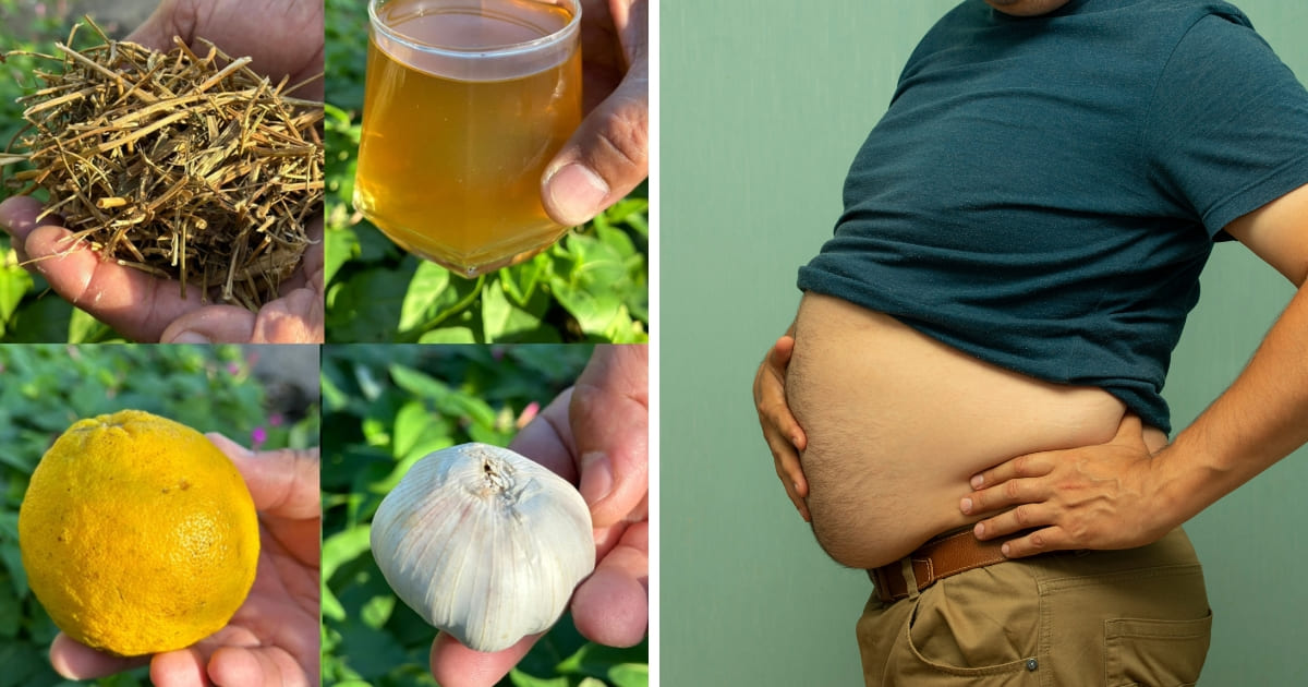 The Ultimate Herbal Trio: Bitter Orange Peel, Garlic, and Chamomile for ...