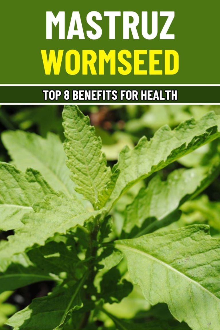Mastruz (Wormseed): The Secret Herb for Stronger Immunity and Better Health