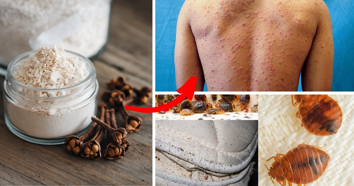 Onion Hair Oil: The Smelly Secret to Lush, Longer Locks