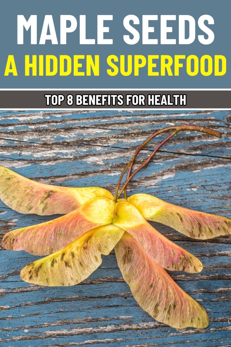 Why You Should Stop Ignoring Maple Seeds - They’re Packed with Health ...