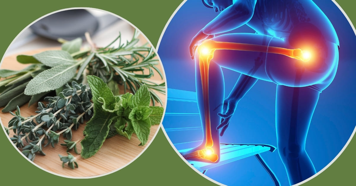 This Ancient Herbal Remedy Works Wonders for Hip and Knee Pain