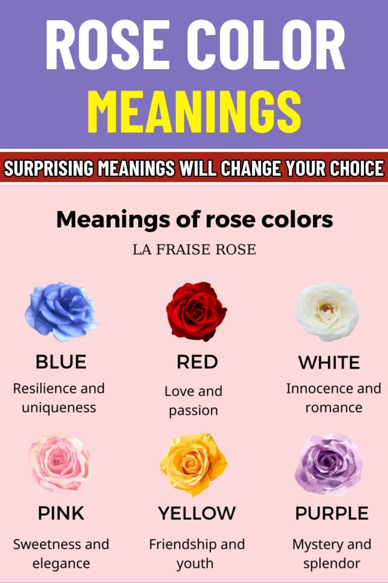 10 Rose Color Meanings You Must Know Before Buying
