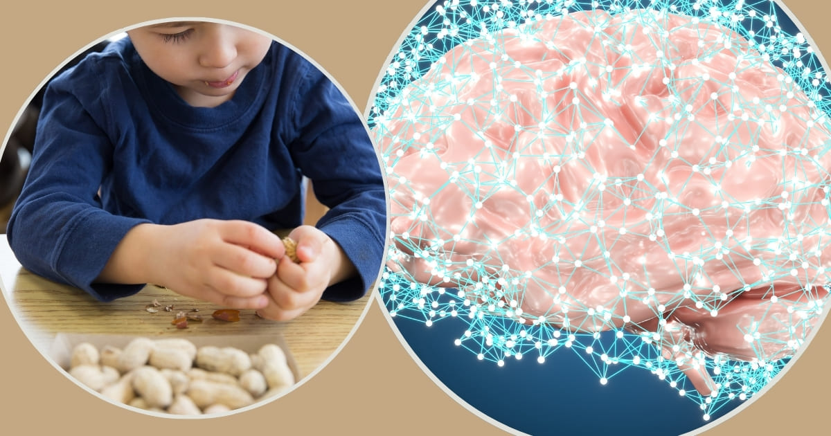 Eat Peanuts Every Day and Watch What Happens - Science Says It’s Worth It