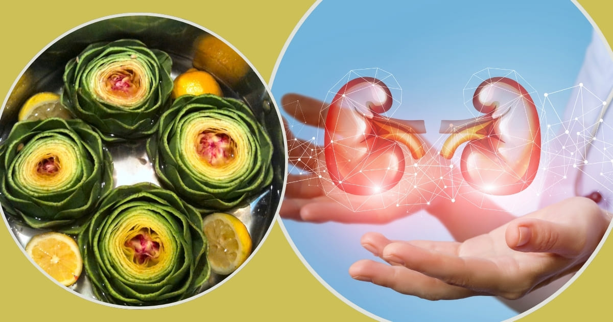 Artichoke Bud: The Delicious Superfood with Surprising Health Benefits!