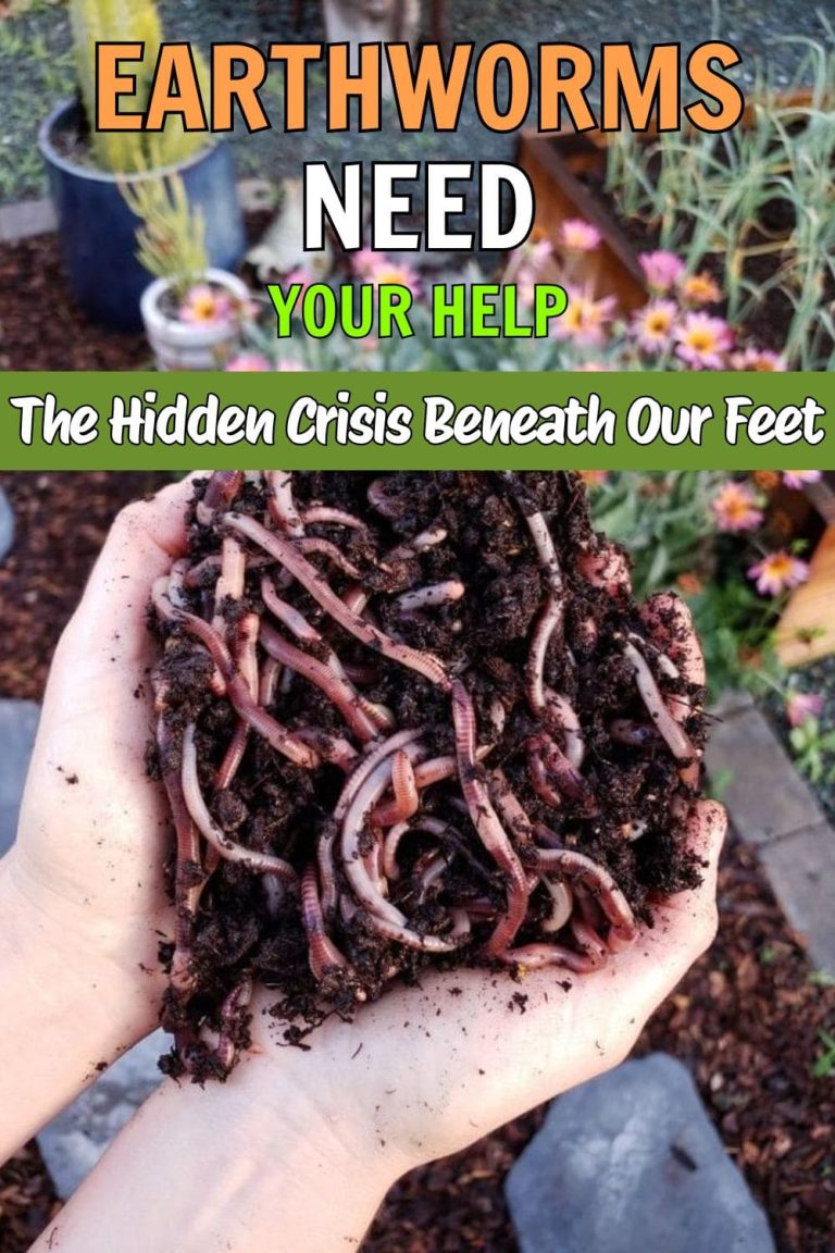 Earthworms Need Your Help – The Hidden Crisis Beneath Our Feet