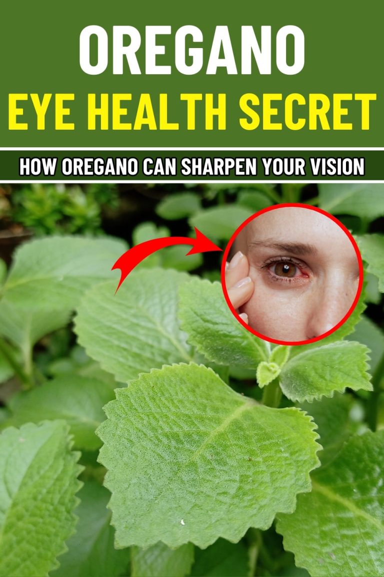 Oregano for Vision: The Unexpected Super Herb Your Eyes Will Thank You For