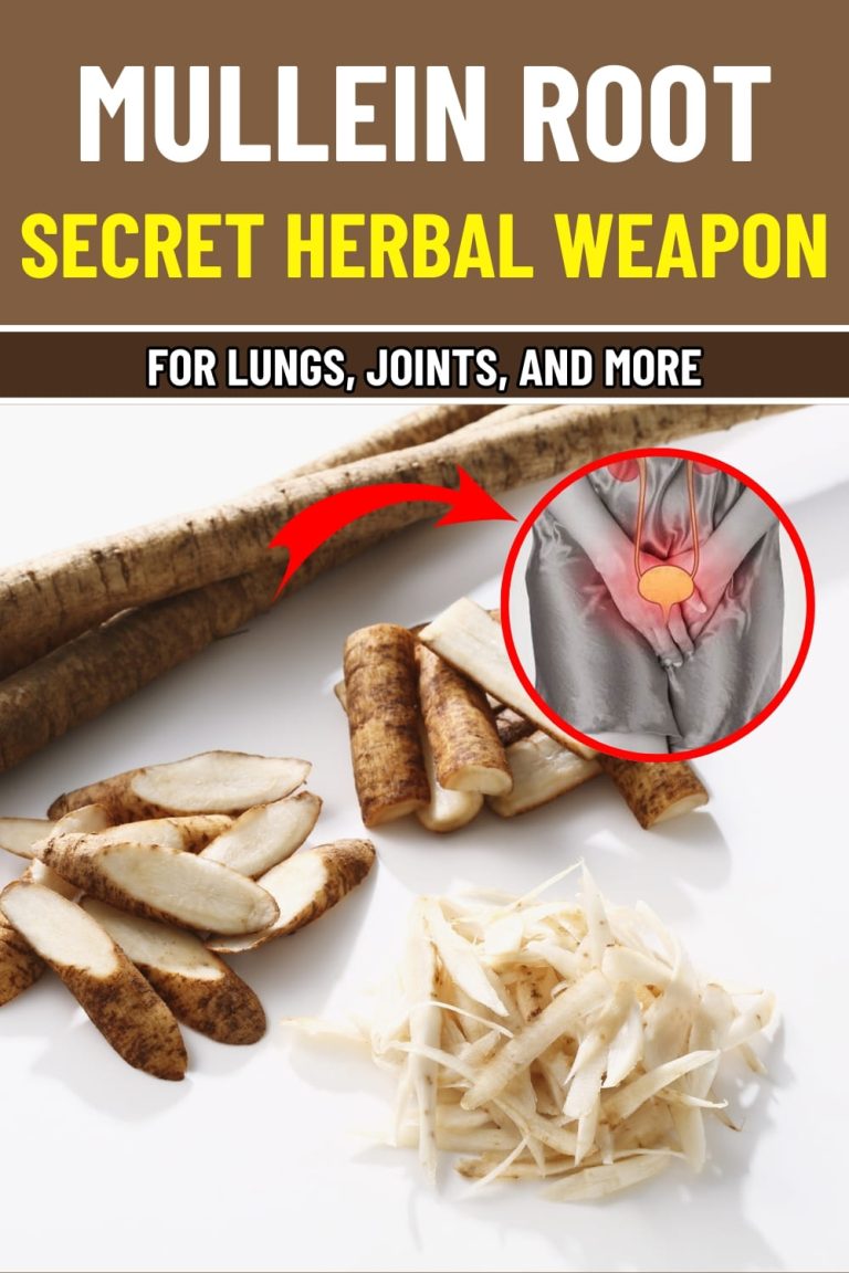 You’ll Never Ignore Mullein Root Again After Learning These Incredible ...