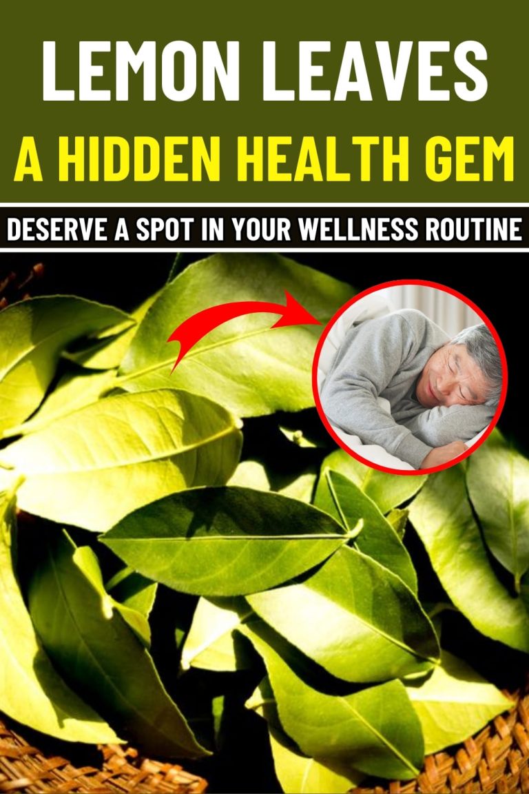 8 Incredible Health Benefits of Lemon Leaves You Never Knew