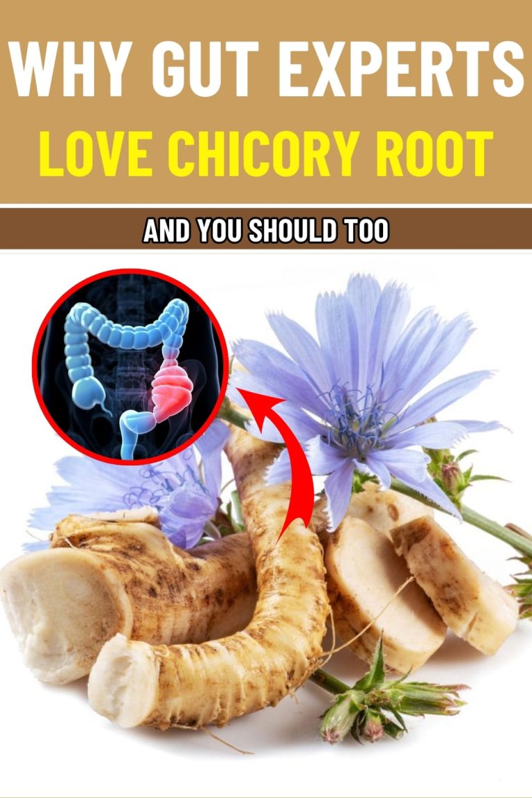 Can Chicory Root Really Help with Gut Issues? Here’s What Science Says