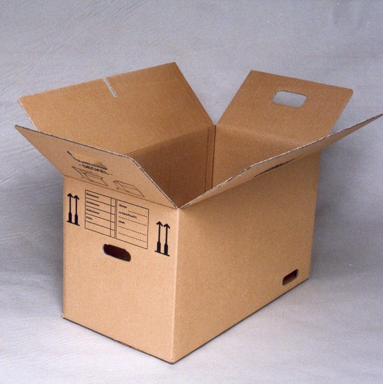 DIY Guide to Making Your Own Incubator: Hatch Eggs at Home Like a Pro