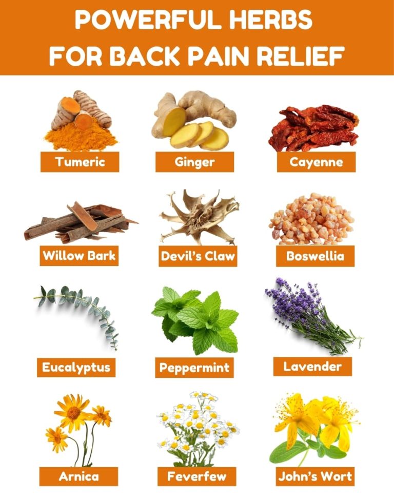 7 Powerful Herbs for Back Pain Relief You Didn't Know About