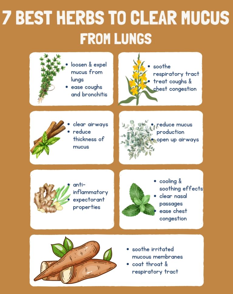 Top 7 Herbs to Clear Mucus from Lungs: Natural Relief You Can Trust