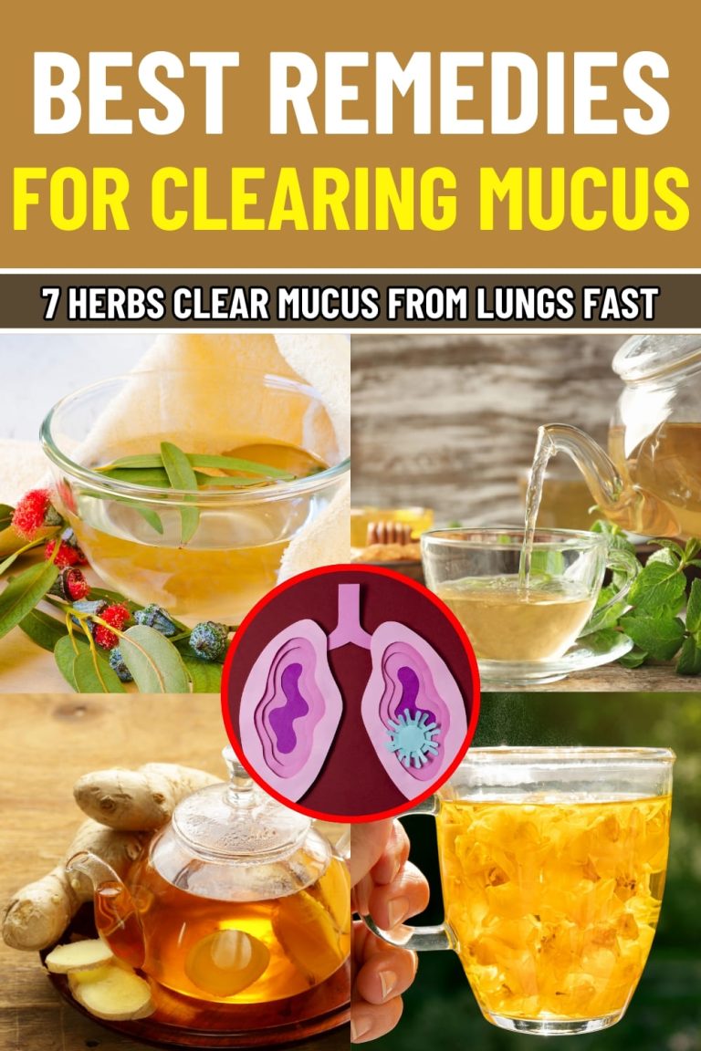 Top 7 Herbs to Clear Mucus from Lungs: Natural Relief You Can Trust