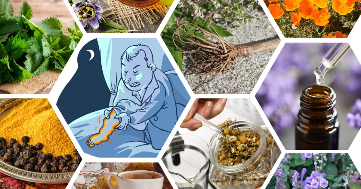 Chewing Rosemary to Dissolve Mucus? Here’s Why It Works!