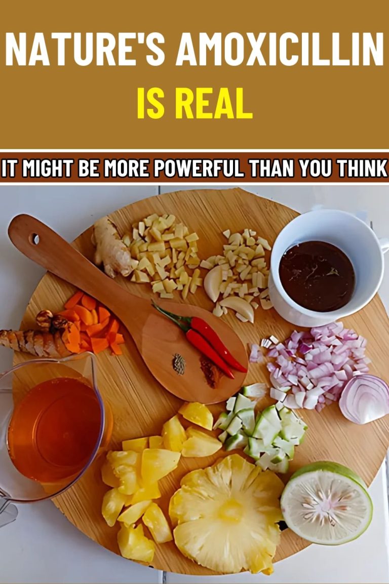 Natural Amoxicillin Is Real And You Can Make It at Home