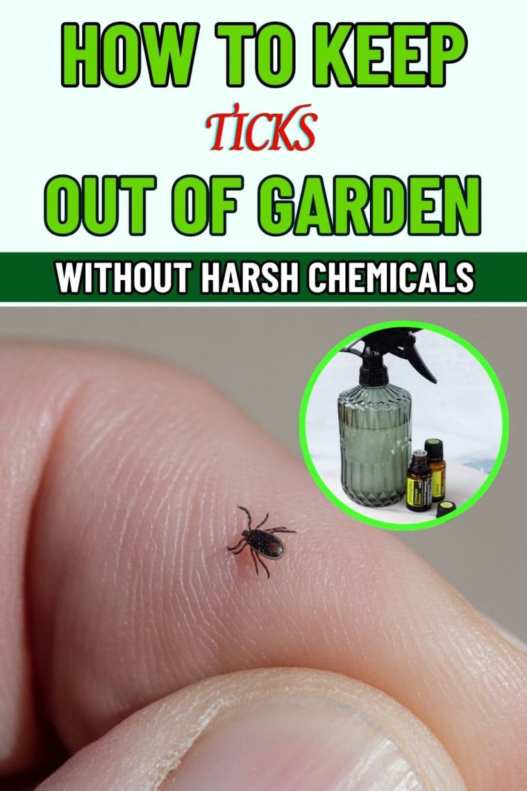 5 Natural Ways to Keep Ticks Out of Your Garden That Gardeners Rarely ...