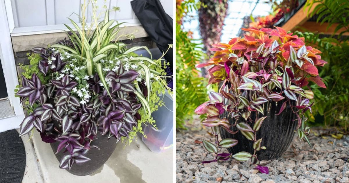 37 Brilliant Ways to Upcycle Old CDs Instead of Tossing Them