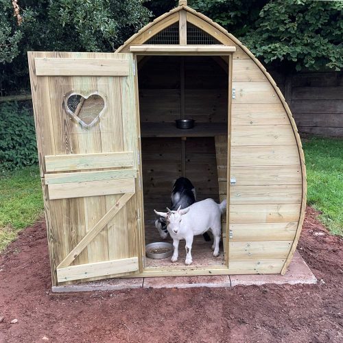 20 Brilliant Animal Shelter Ideas for Every Homesteader