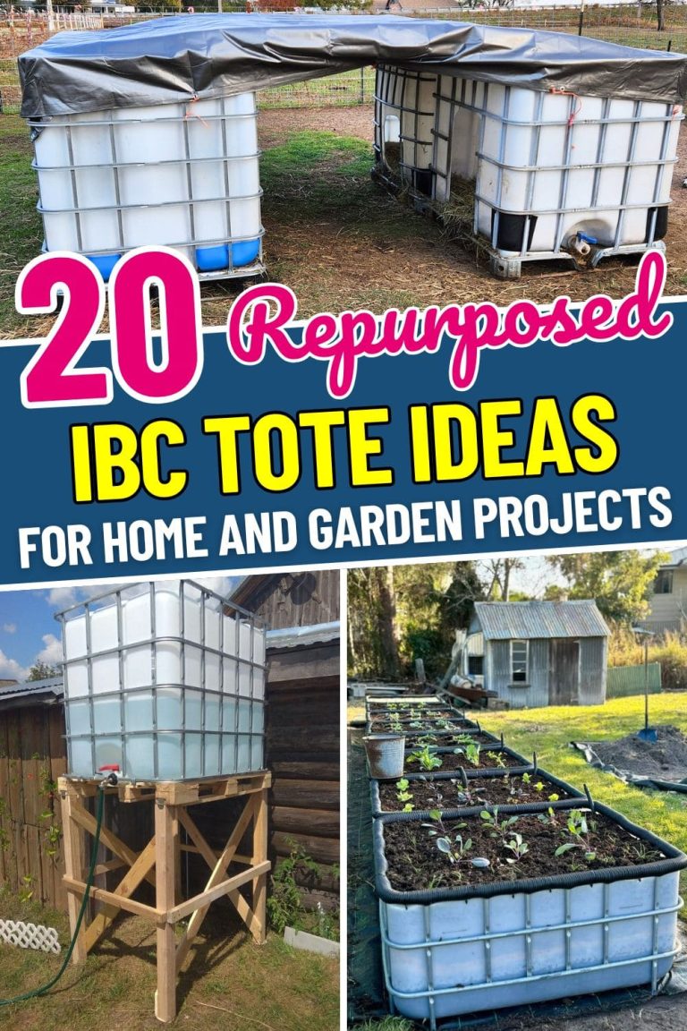 20 Repurposed IBC Tote Ideas for Home and Garden Projects