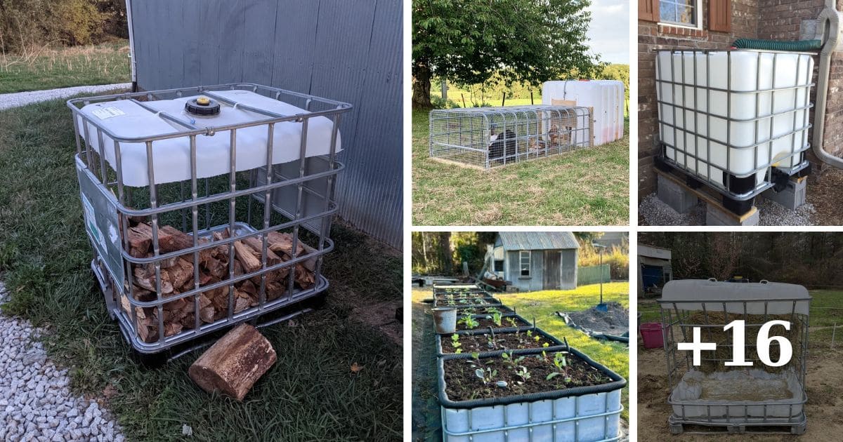 20 Repurposed IBC Tote Ideas for Home and Garden Projects