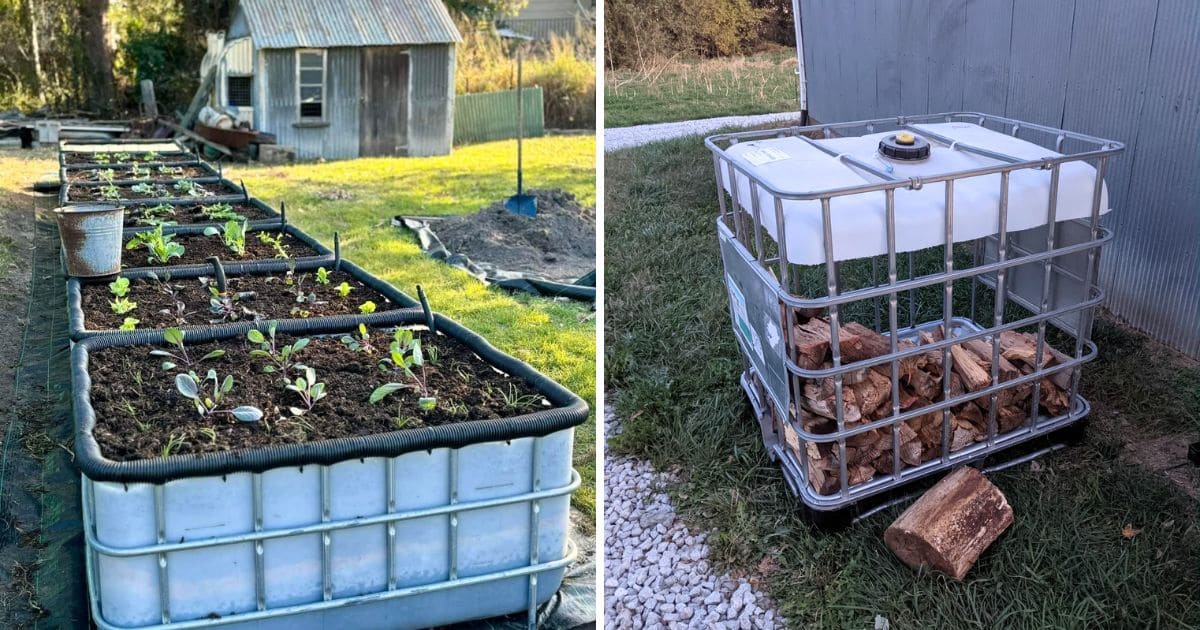 30 Creative Chicken Coop Ideas to Optimize Space for Your Flock