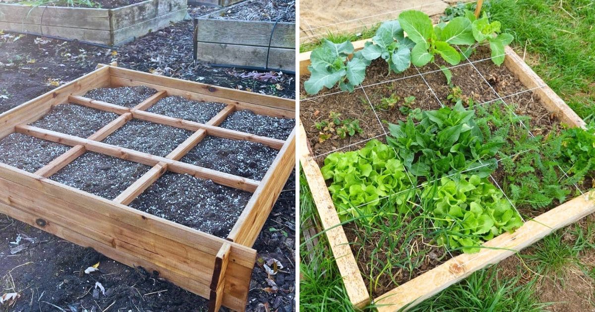 Square Foot Gardening: The Clever Way to Grow More in Less Space