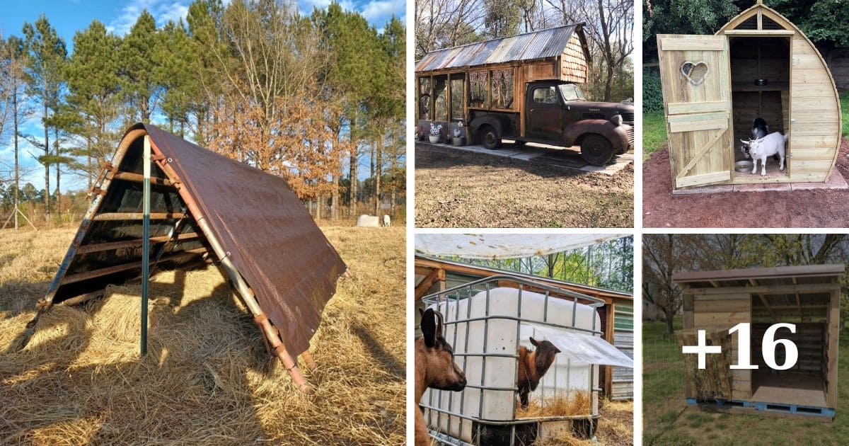 20 Brilliant Animal Shelter Ideas for Every Homesteader