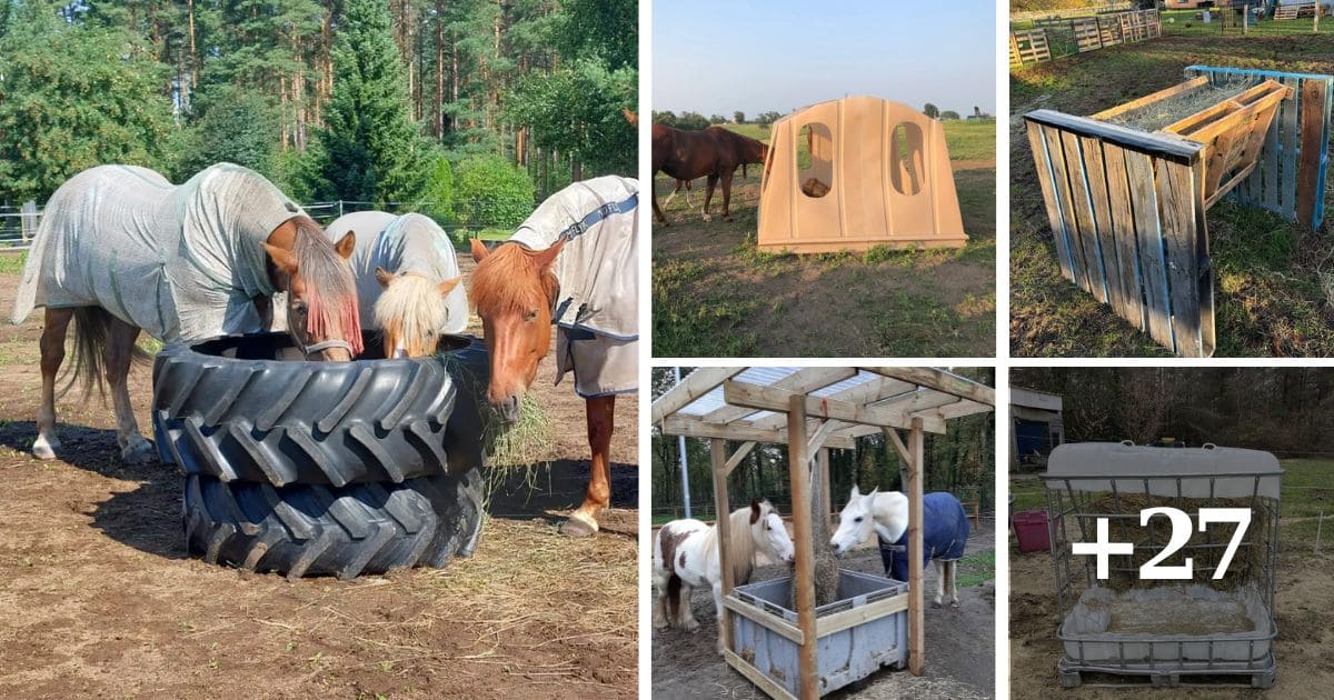 33 Creative DIY Hay Feeder Ideas for Efficient Feeding on the Homestead