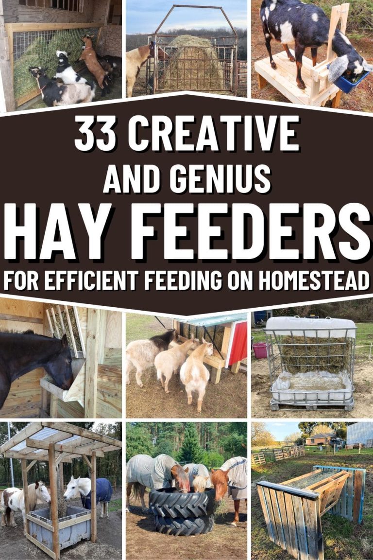 33 Creative DIY Hay Feeder Ideas for Efficient Feeding on the Homestead