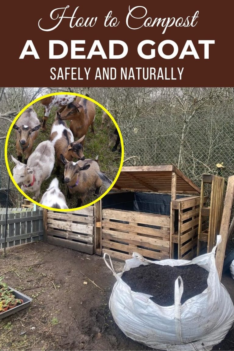 How to Compost a Dead Goat Safely and Naturally