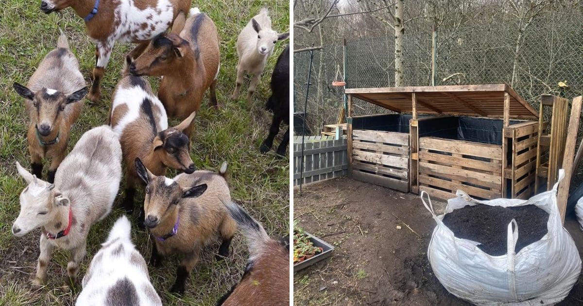 25+ Inspiring Christmas Gift Wrapping Ideas to Make Your Holiday ...