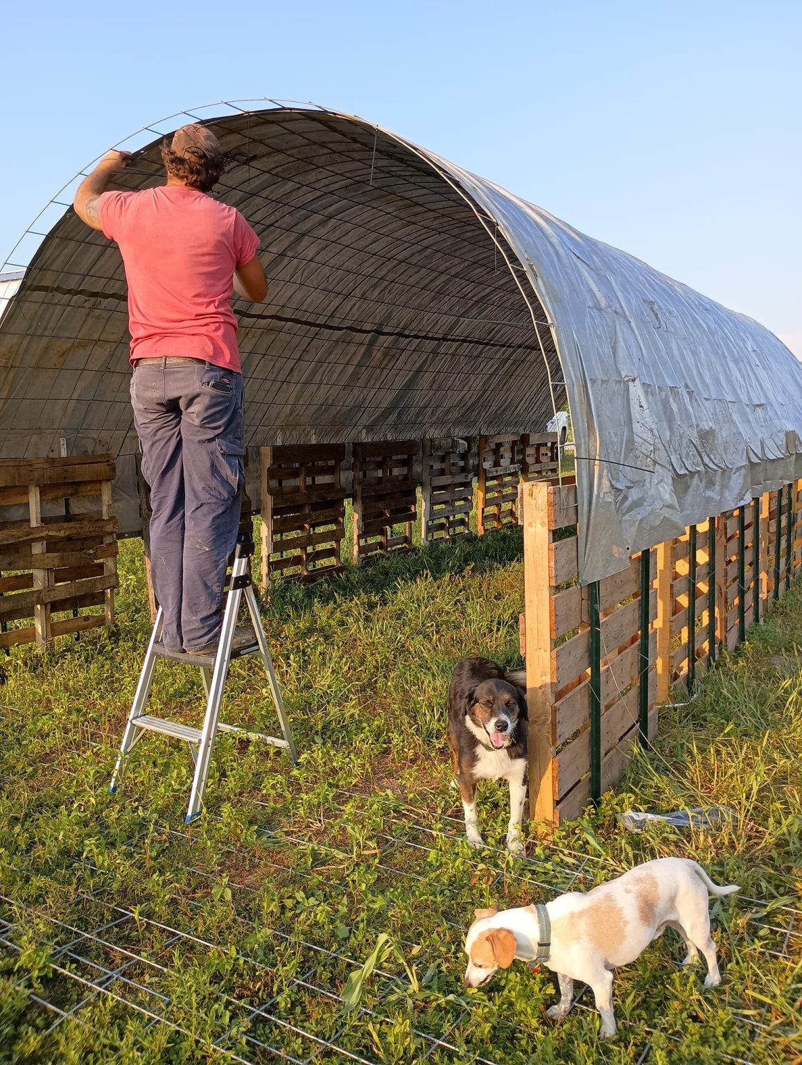 How I Built a Budget-Friendly Walkthrough Shelter for Just $300