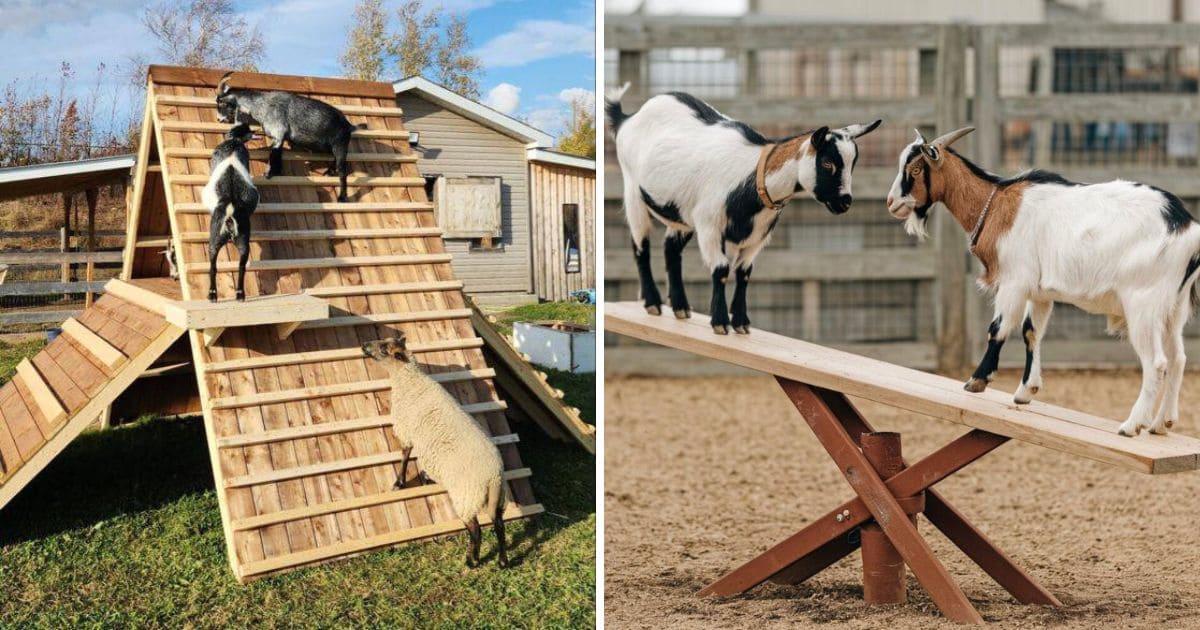 21 Adorable DIY Snowman Crafts to Make Your Holidays Extra Cheerful